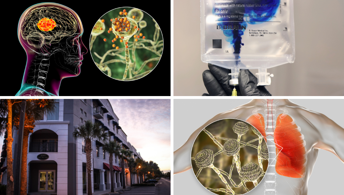 13 Symptoms Of Chronic Inflammatory Response Syndrome (CIRS)