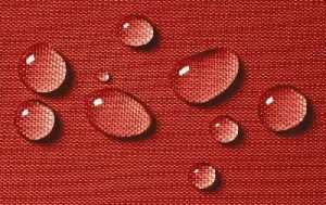 Proline IV Therapy: Enhancing Collagen Production & More